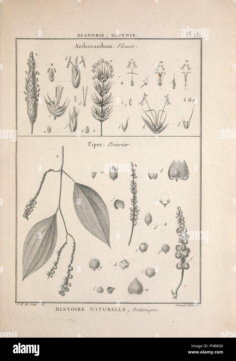 ‘Tableau Encyclopédique et Méthodique des Trois Règnes de la Nature’ is ...