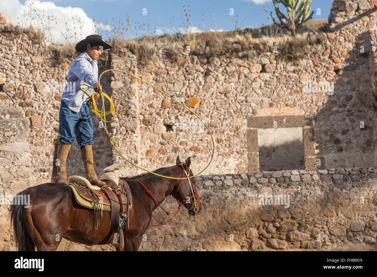 A Mexican charro or cowboy practices roping skills on his horse at a ...