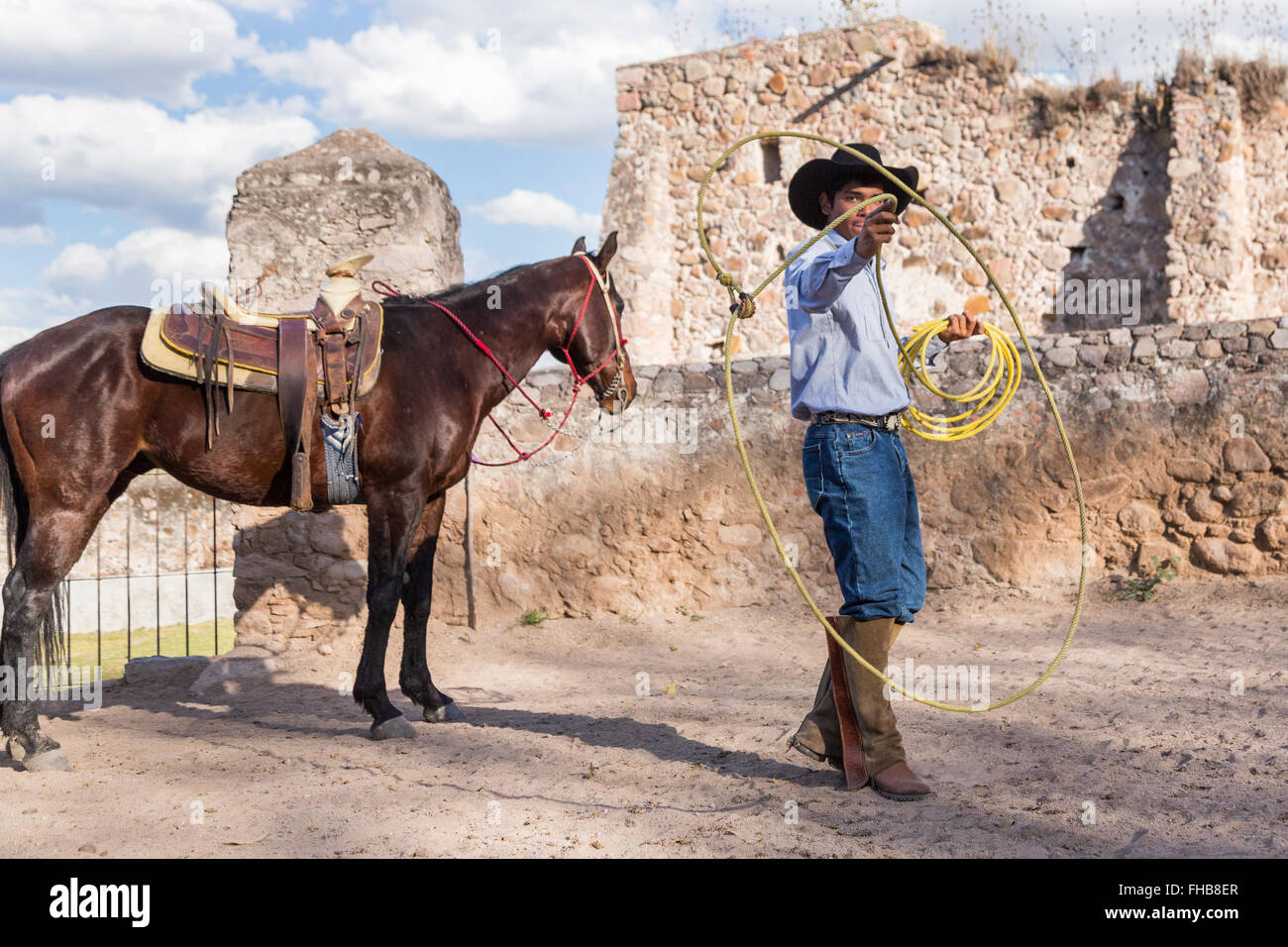 A Mexican charro or cowboy practices roping skills with his horse at a ...