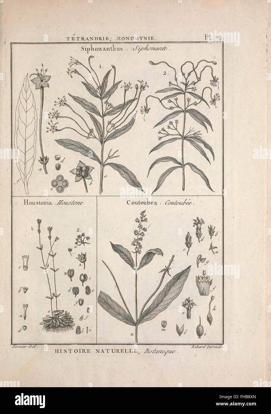 A comprehensive and systematic botanical work presenting the three ...