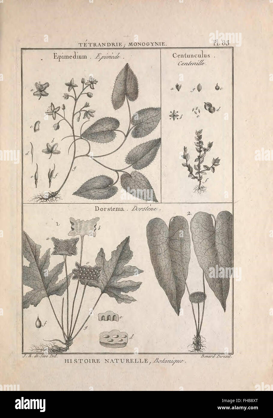 'Tableau Encyclopédique et Méthodique des Trois Règnes de la Nature' is ...