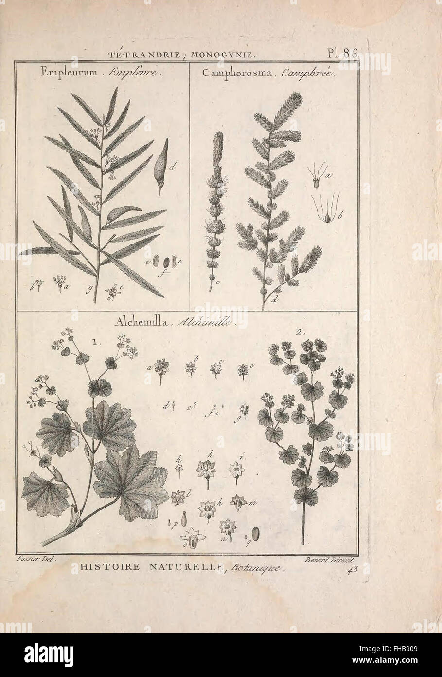 An encyclopedic and methodical tableau of the three kingdoms of nature ...