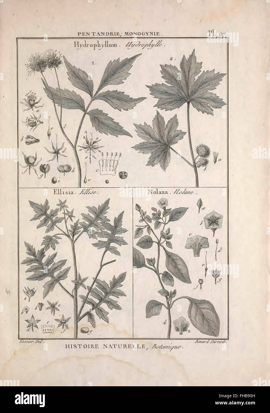 Tableau encyclopédique et méthodique des trois règnes de la nature ...