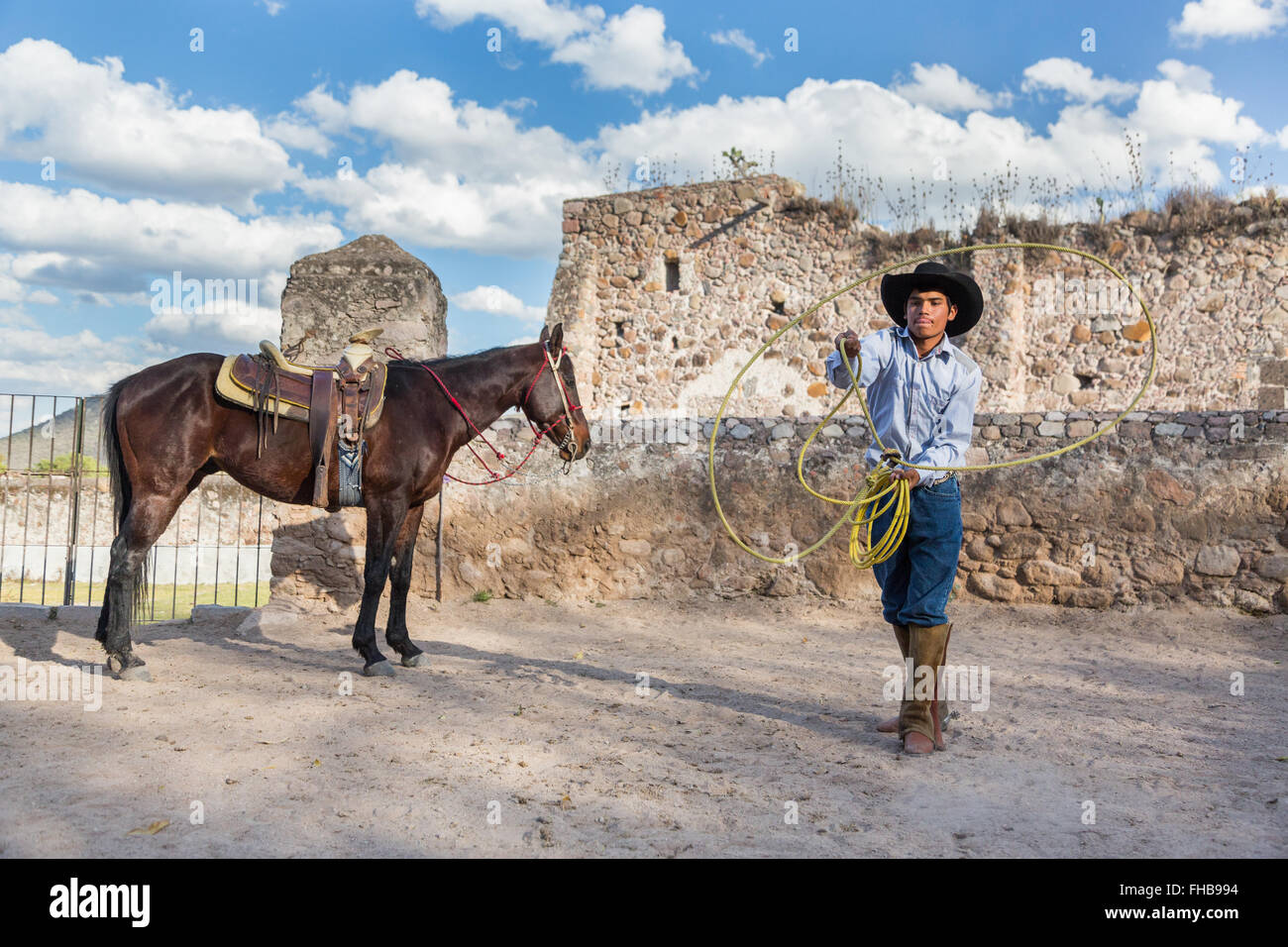 A Mexican charro or cowboy practices roping skills with his horse at a ...