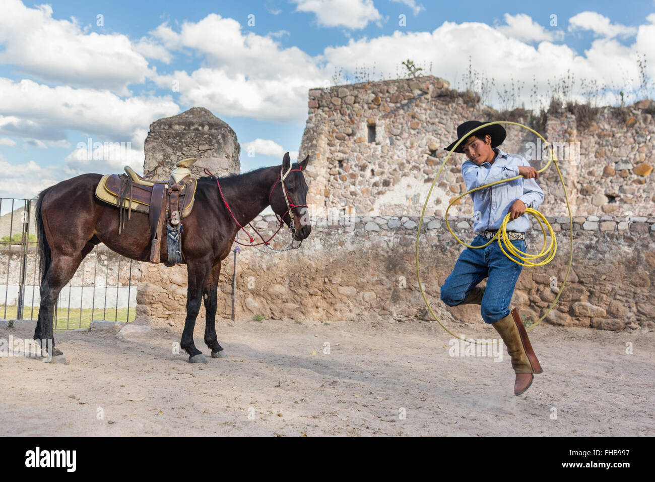 A Mexican charro or cowboy practices roping skills with his horse at a ...
