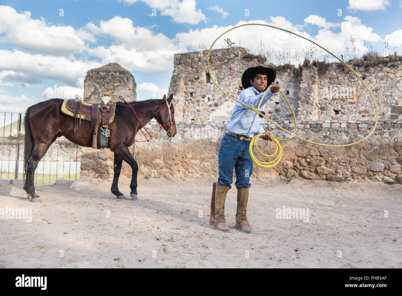 A Mexican charro or cowboy practices roping skills with his horse at a ...