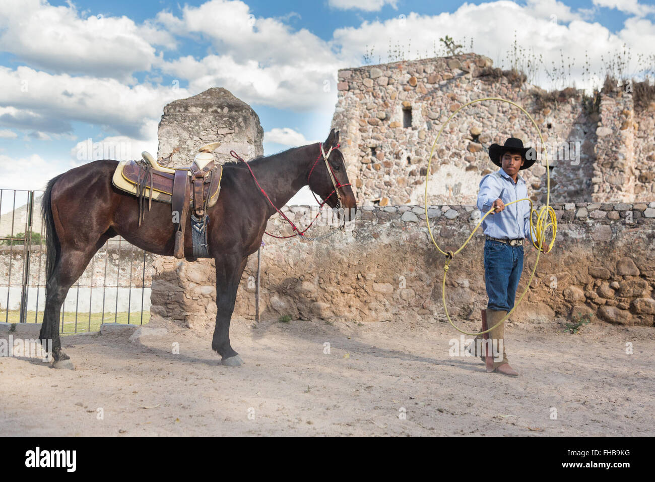 A Mexican charro or cowboy practices roping skills with his horse at a ...