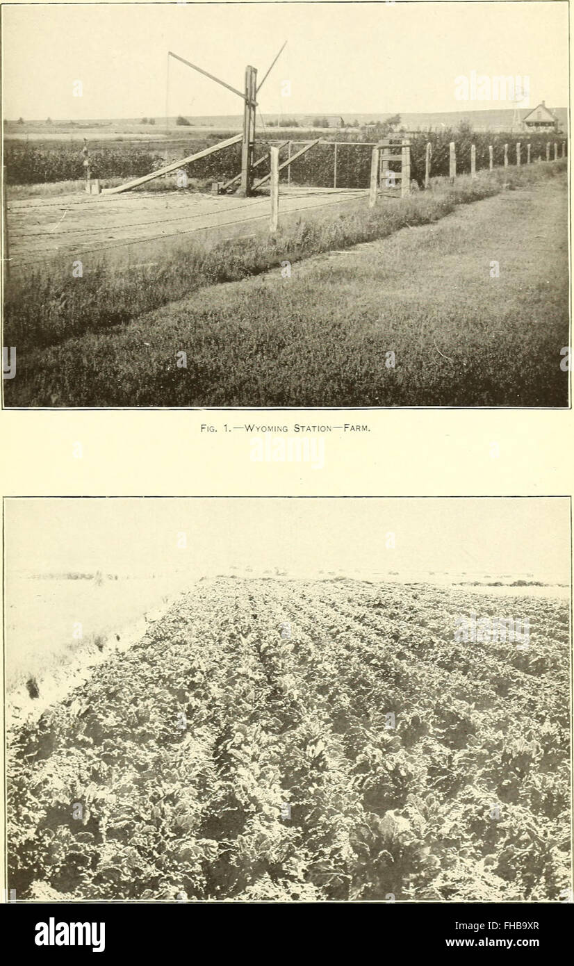 The Agricultural Experiment Stations in the United States (1900 ...