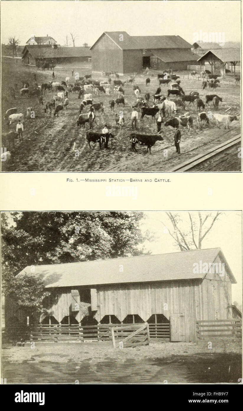 A report from 1900 detailing the establishment and progress of ...