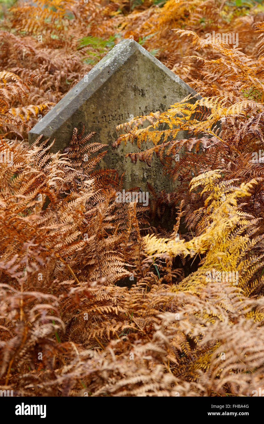 Overgrown cemetry hi-res stock photography and images - Alamy