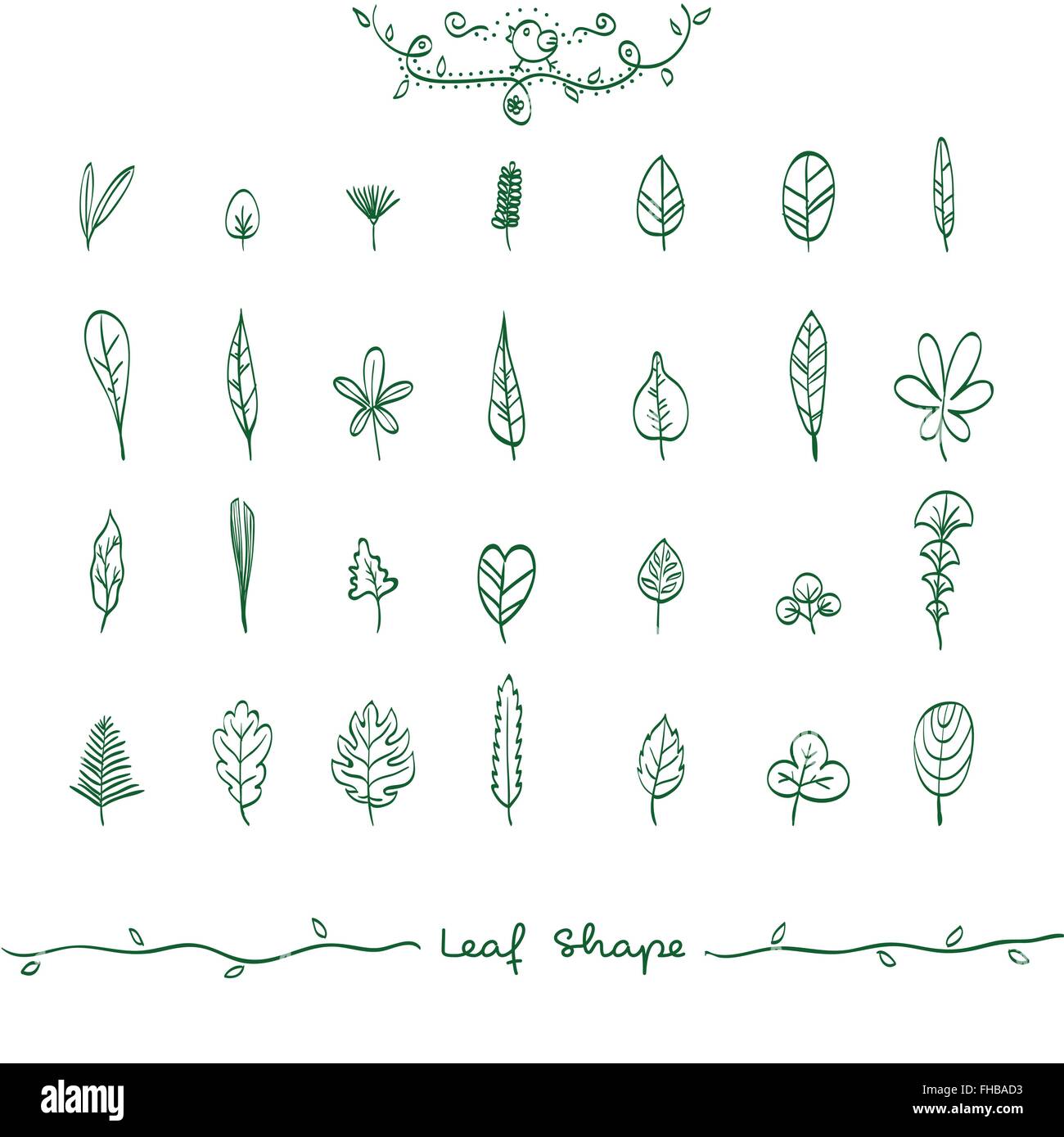 Leaf Shapes Vector