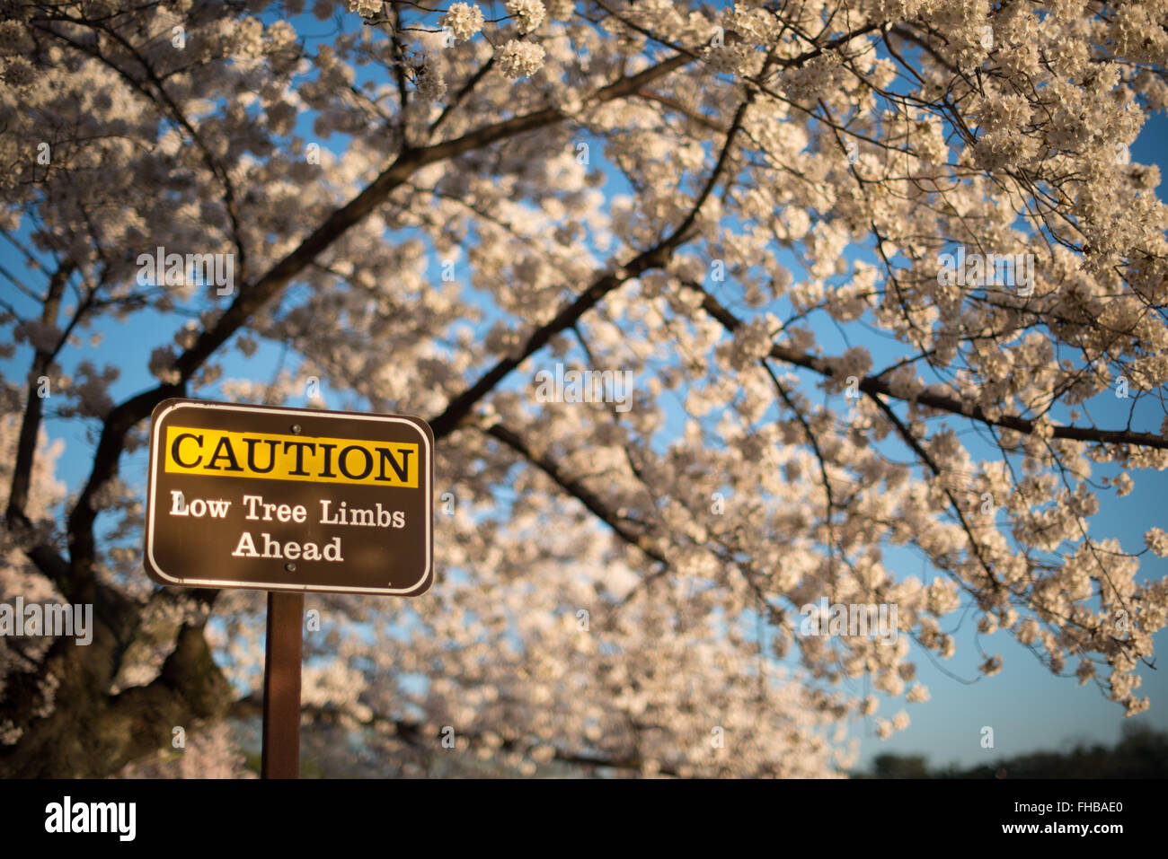 Warning low trees sign hi-res stock photography and images - Alamy