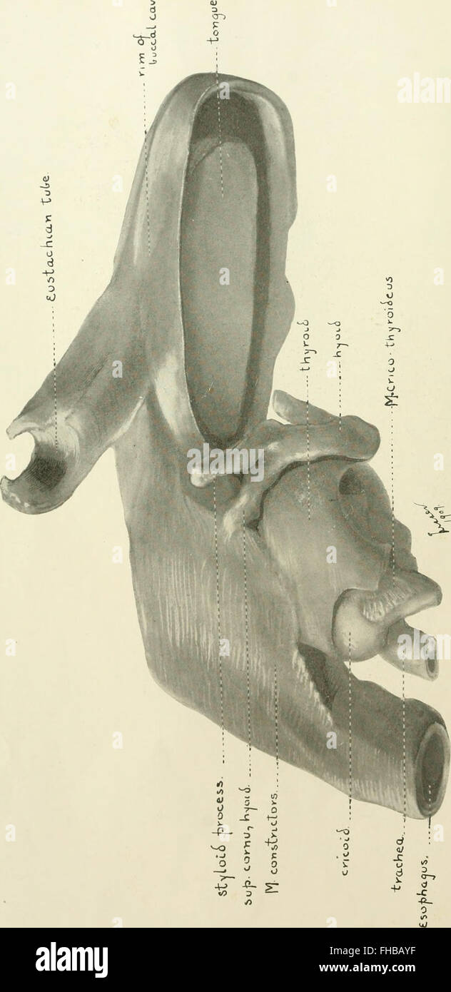 A 1901 scholarly journal that publishes research in the field of human ...