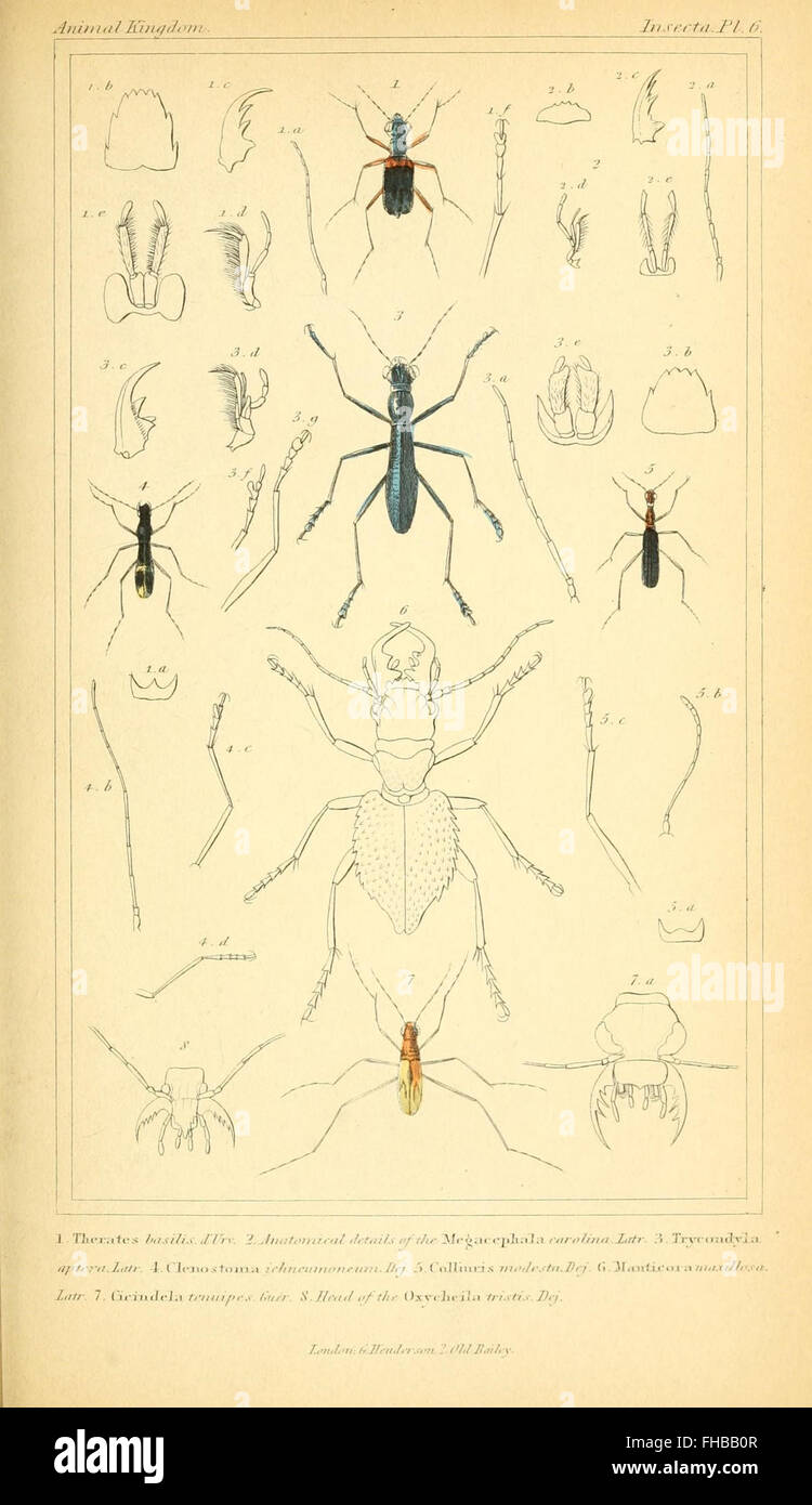 A foundational zoological work detailing the classification and ...