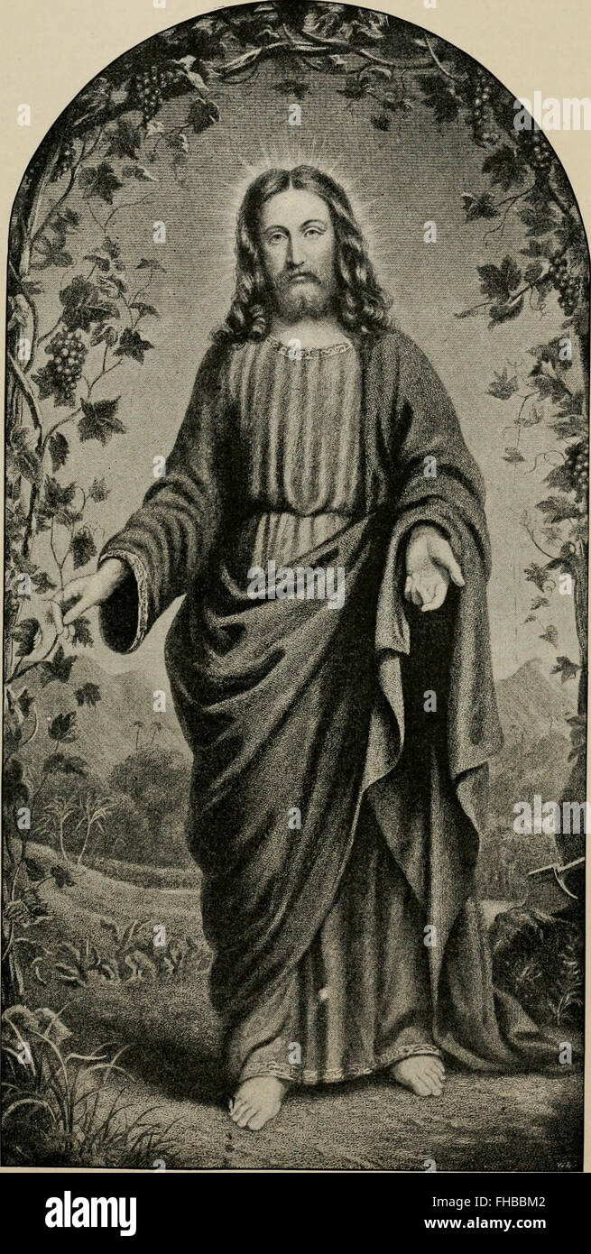 The Art Bible (1896), an illustrated edition of the Old and New ...