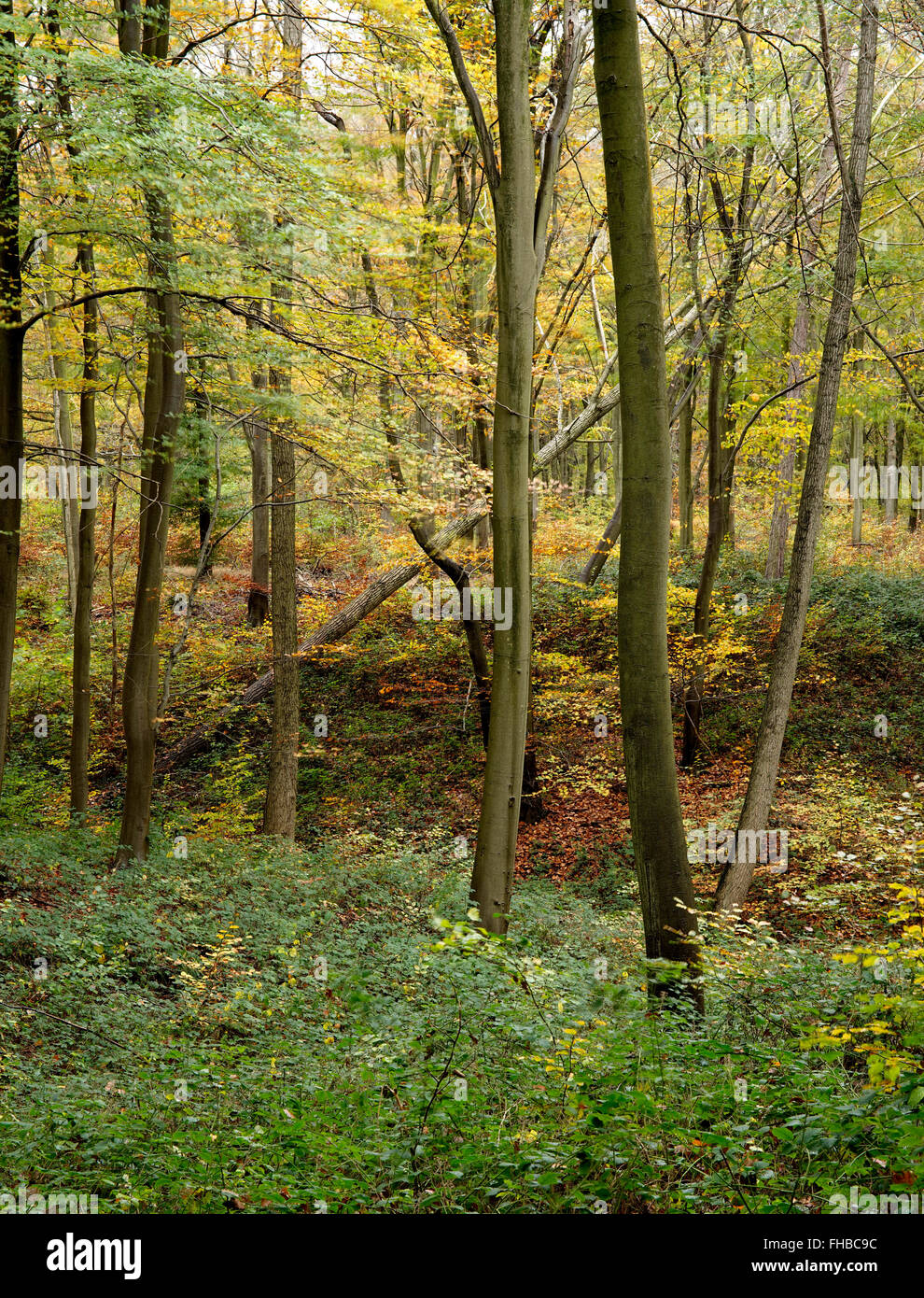 Worcestershire and shropshire border hi-res stock photography and ...