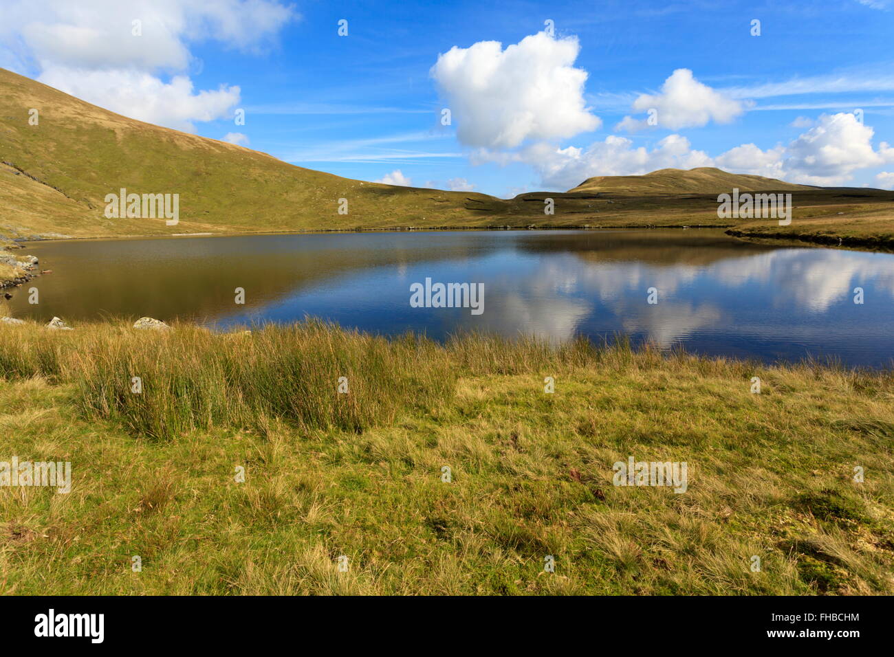 Llyn Dyfi, source of the River Dyfi which sits below the summit of Aran ...