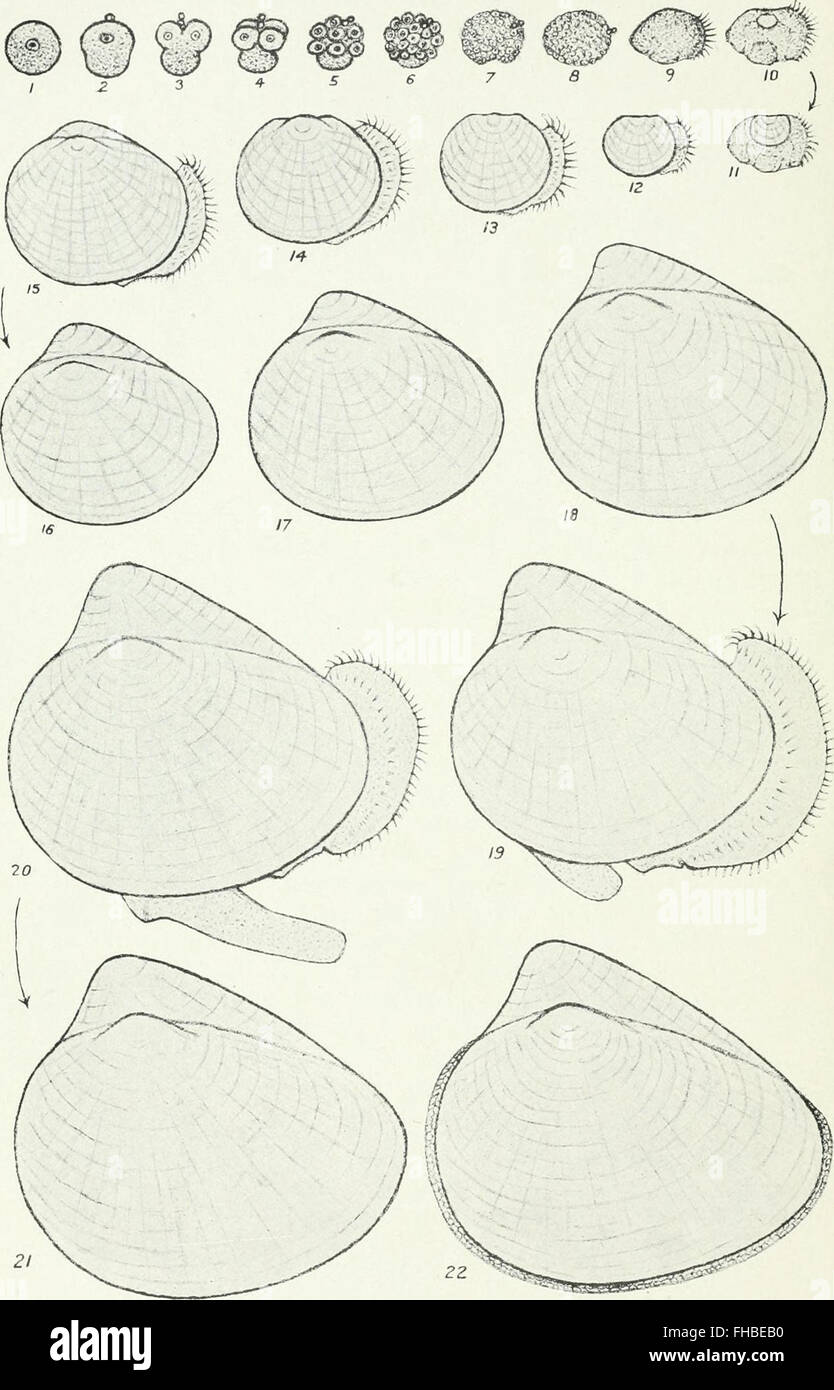 A 1913 study on the development, environment, and culture of Canadian ...