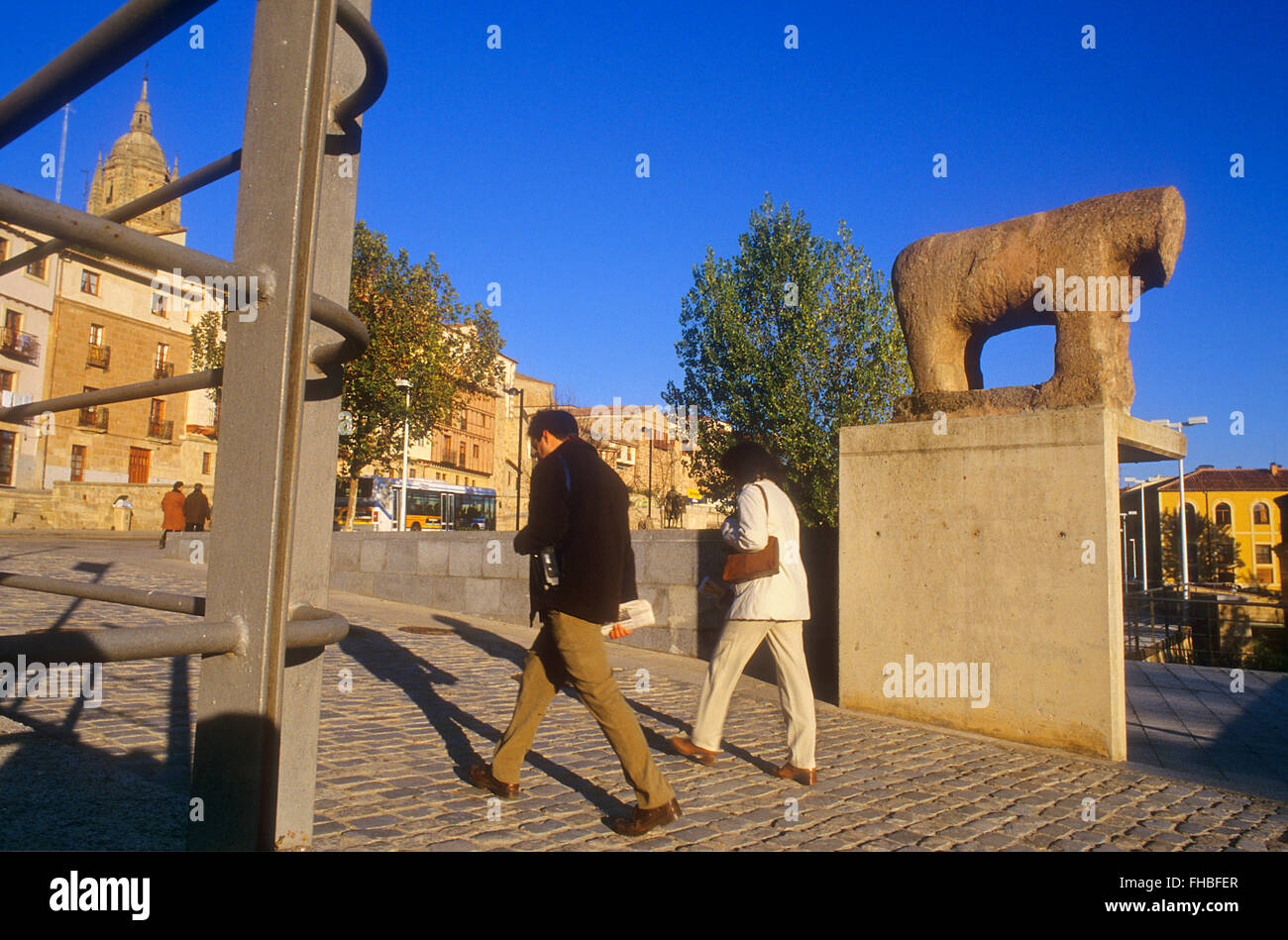 Verraco salamanca hi-res stock photography and images - Alamy