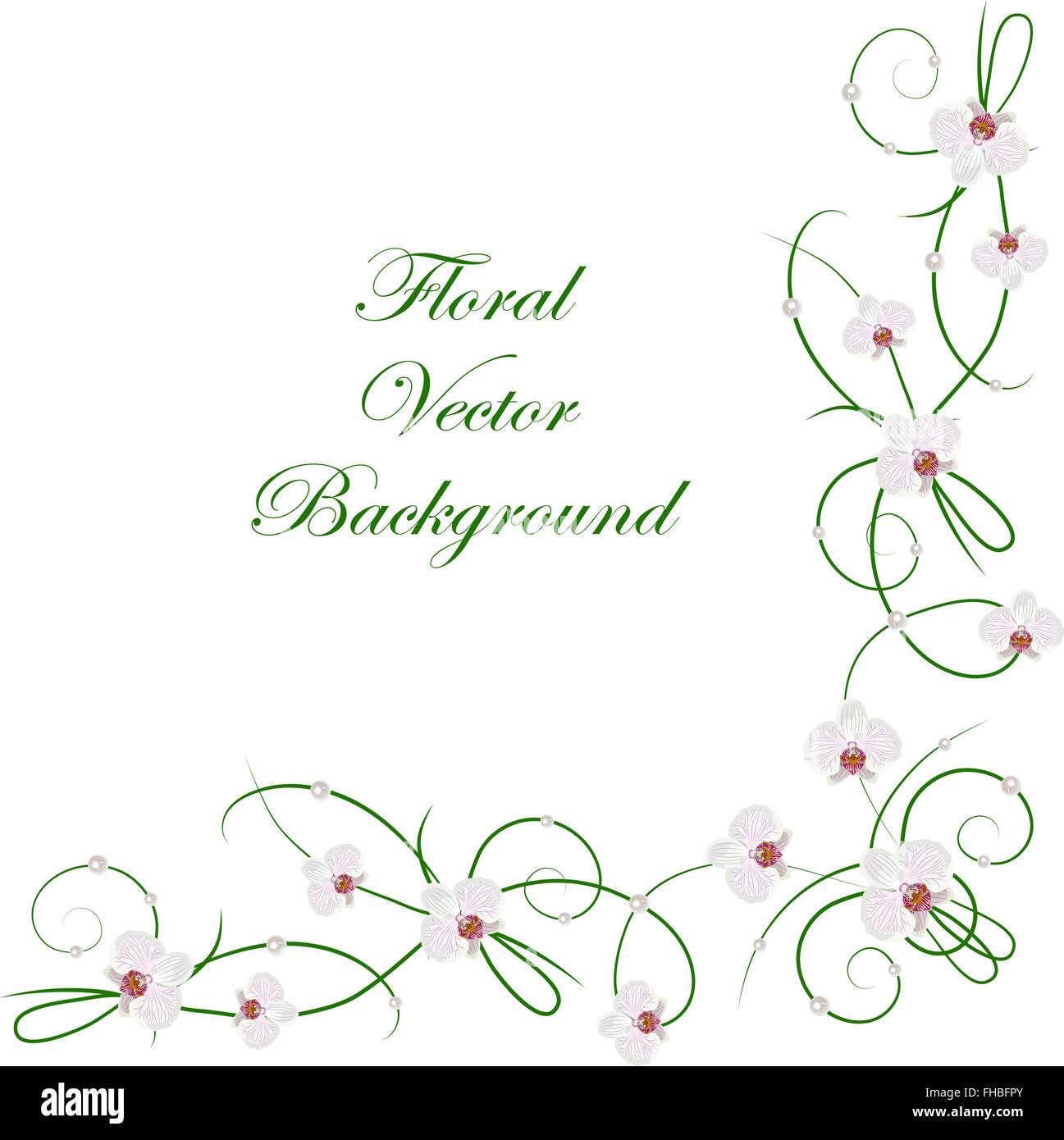 Floral vector background Stock Vector Image & Art - Alamy