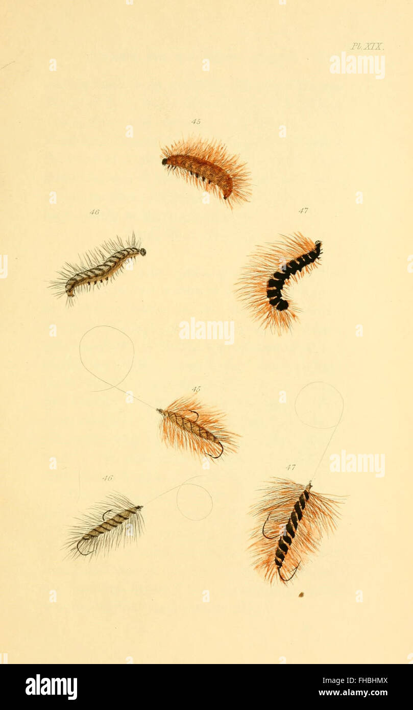 The Fly-Fisher's Entomology, a work detailing the artificial flies used ...