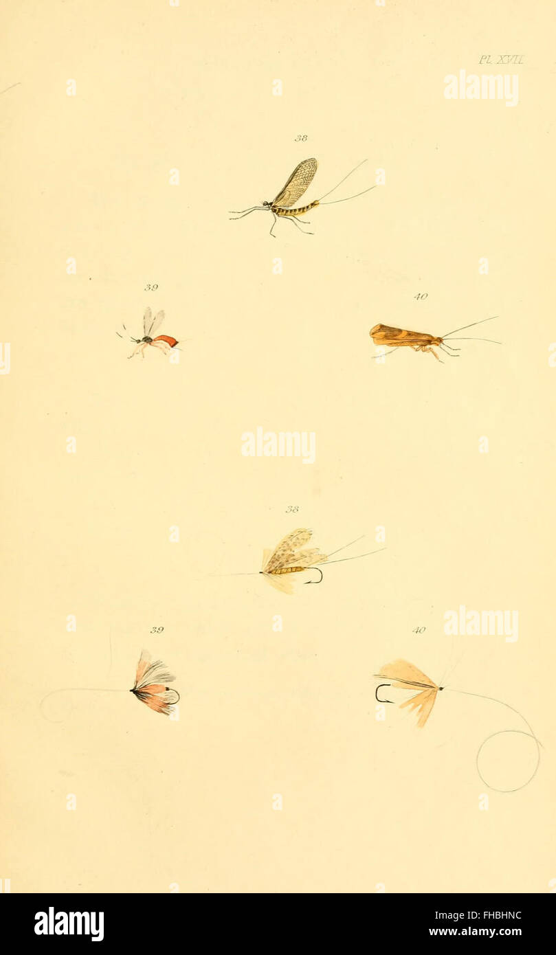 The fly-fisher's entomology, an exploration of the insects used in ...
