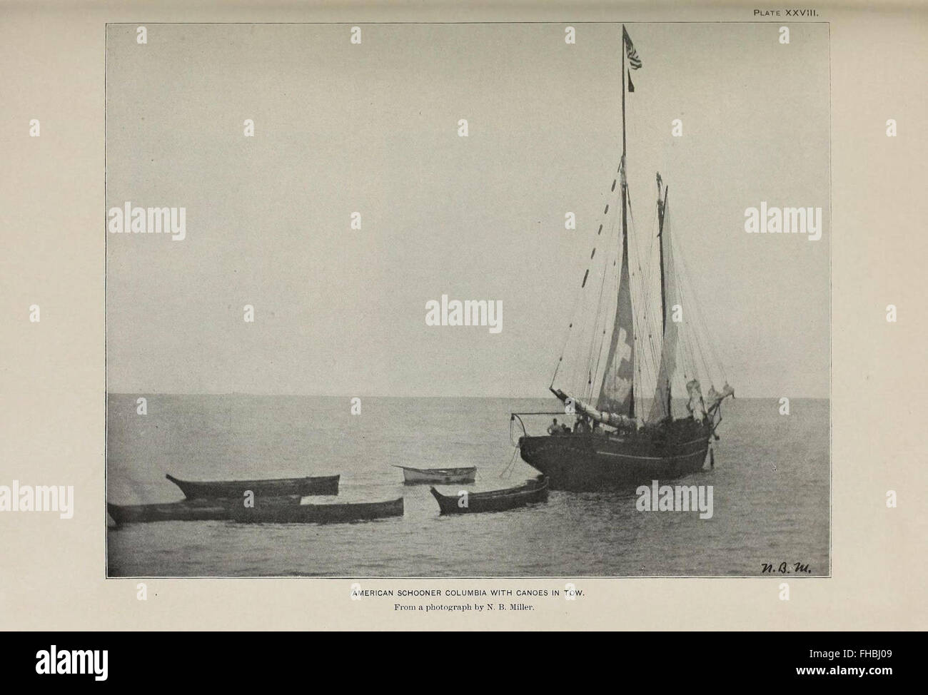 The Fur Seals and Fur-Seal Islands of the North Pacific Ocean, SIL ...