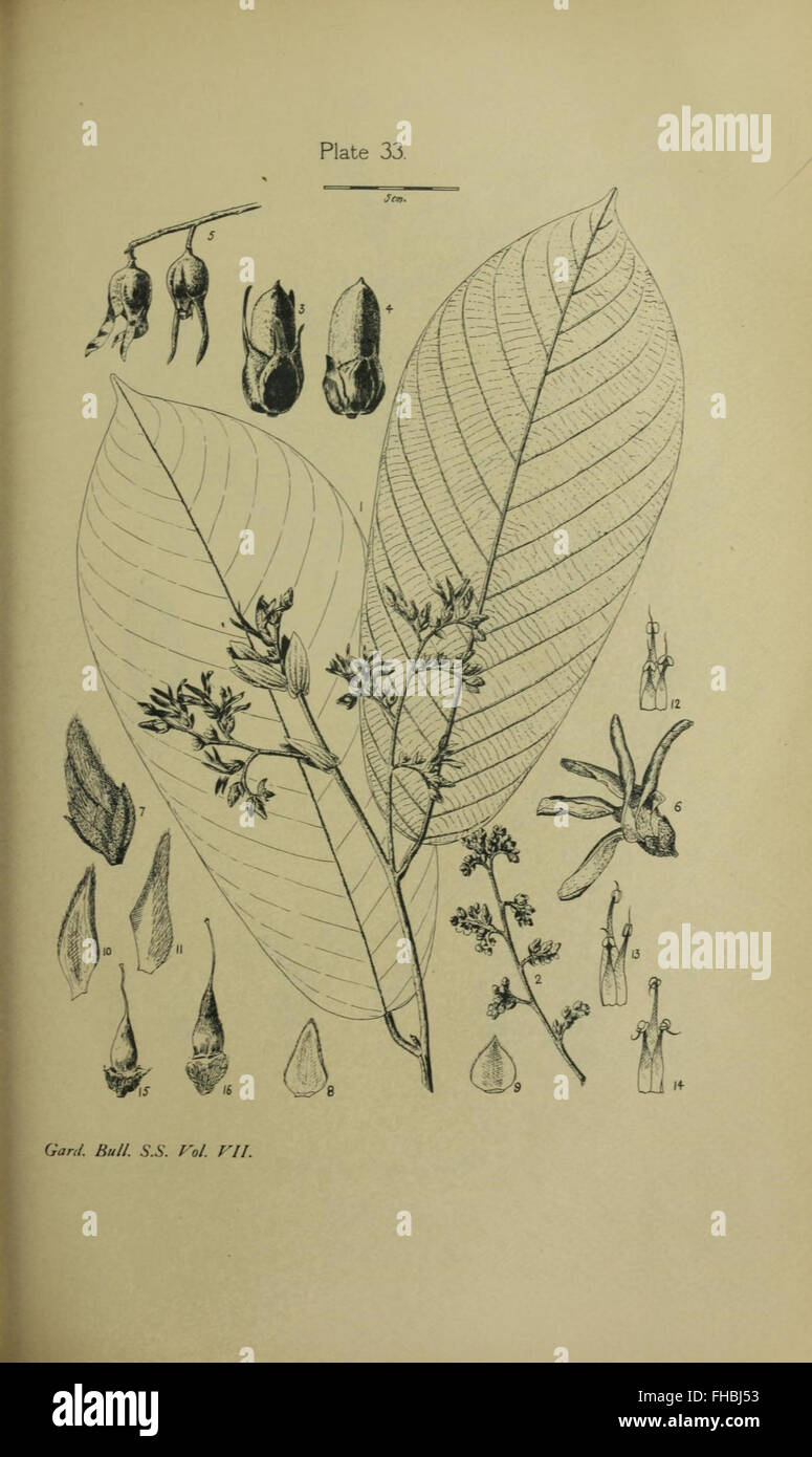 Harvard University Botany Libraries Malay Peninsula Periodicals ...