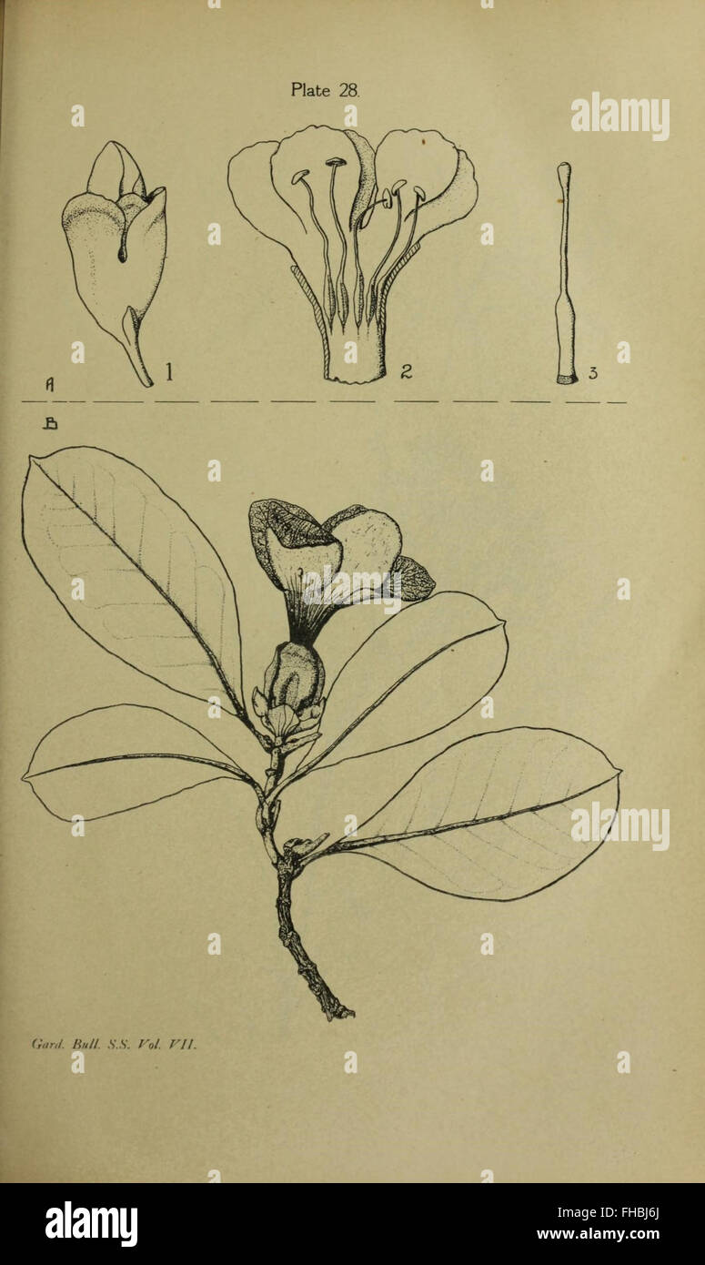 The Gardens' Bulletin from the Harvard University Botany Libraries ...