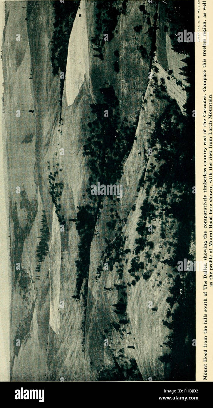 A 1912 publication focusing on the conservation efforts to protect ...