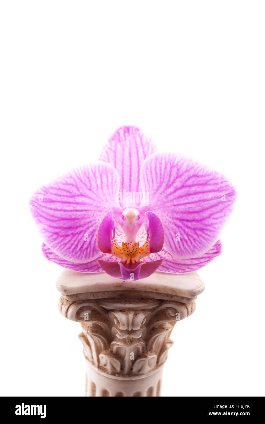 Classical column with flower Stock Photo - Alamy