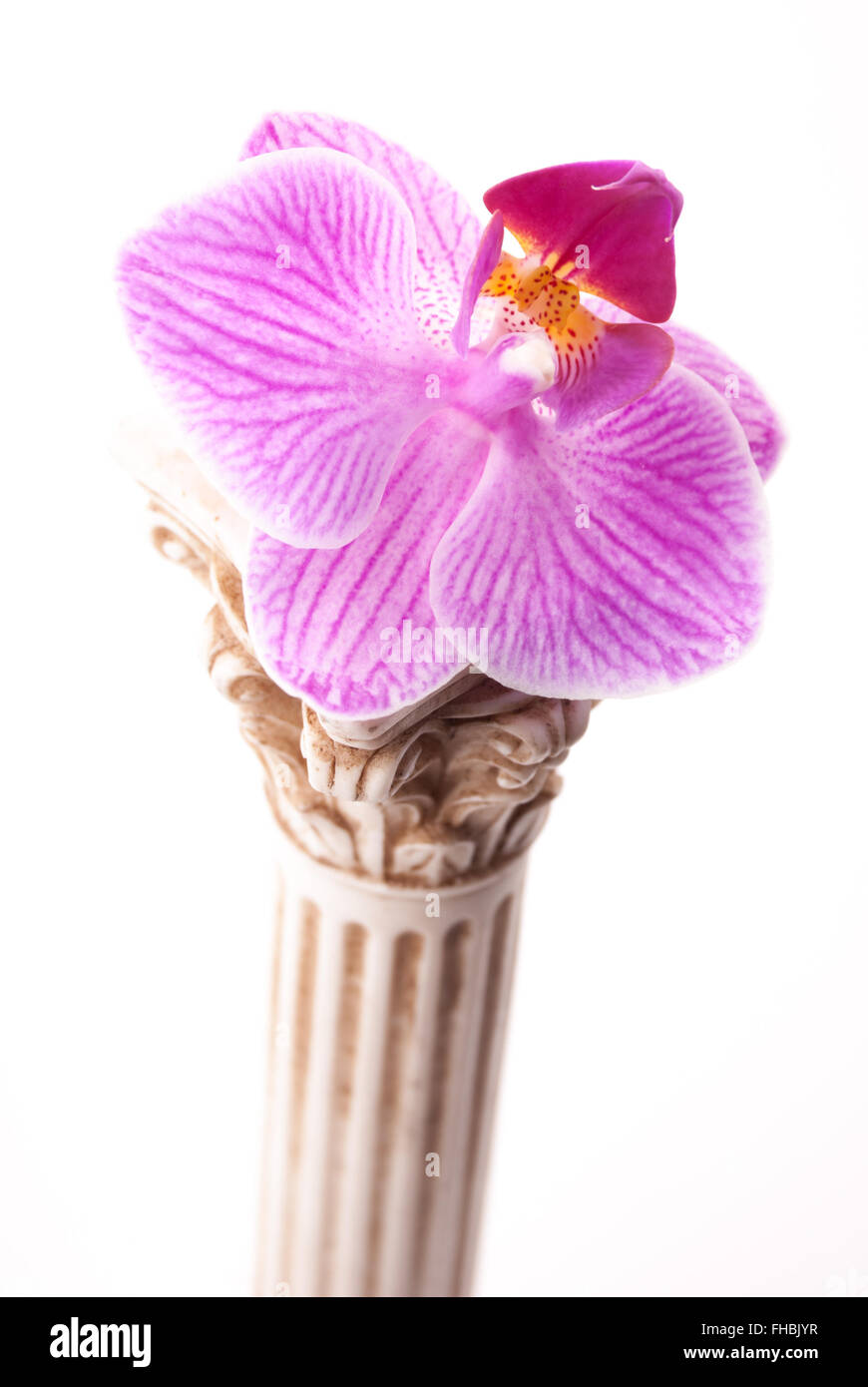 Classical column with flower Stock Photo - Alamy