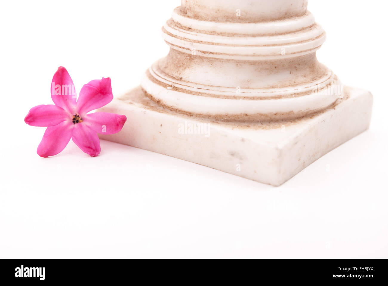 Classical column with flower Stock Photo - Alamy