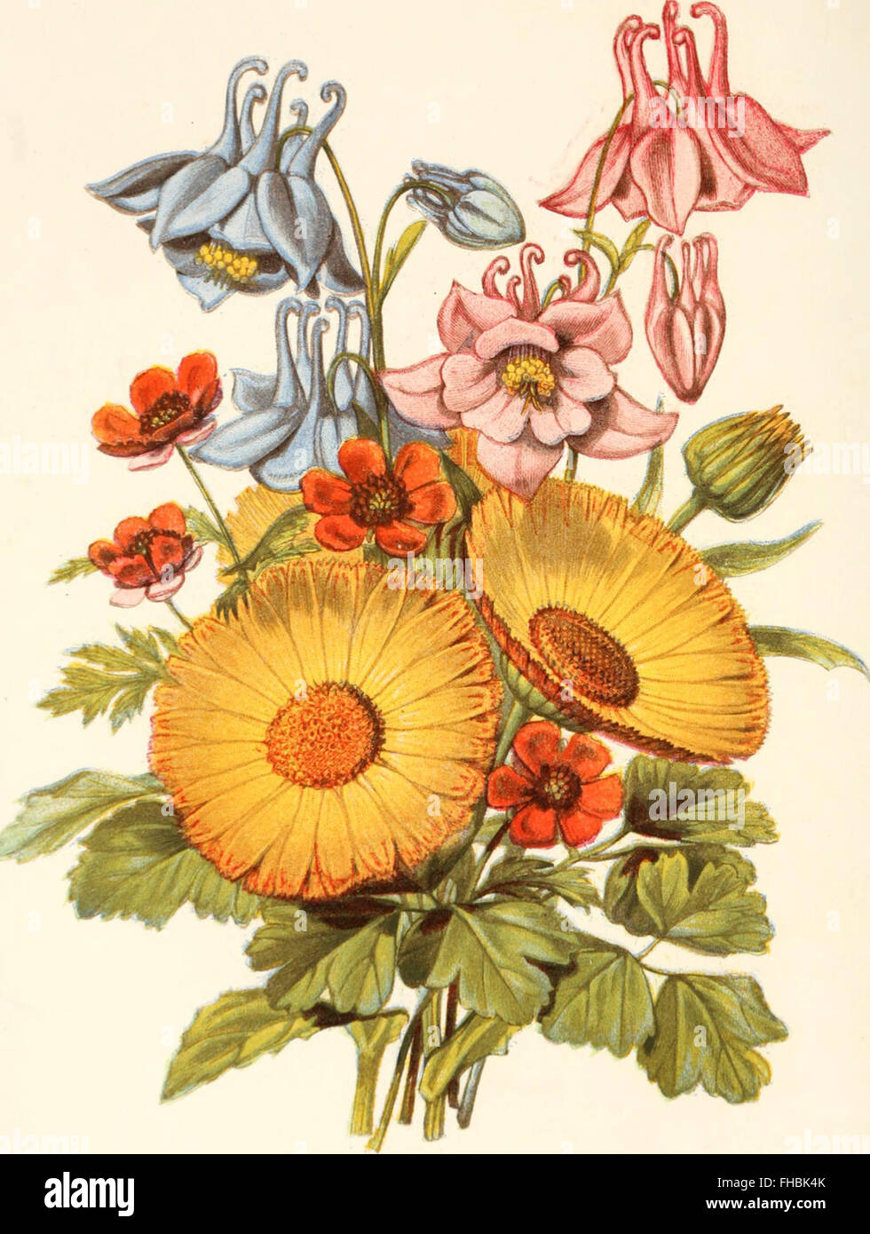 The language of flowers, a symbolic representation of thoughts ...