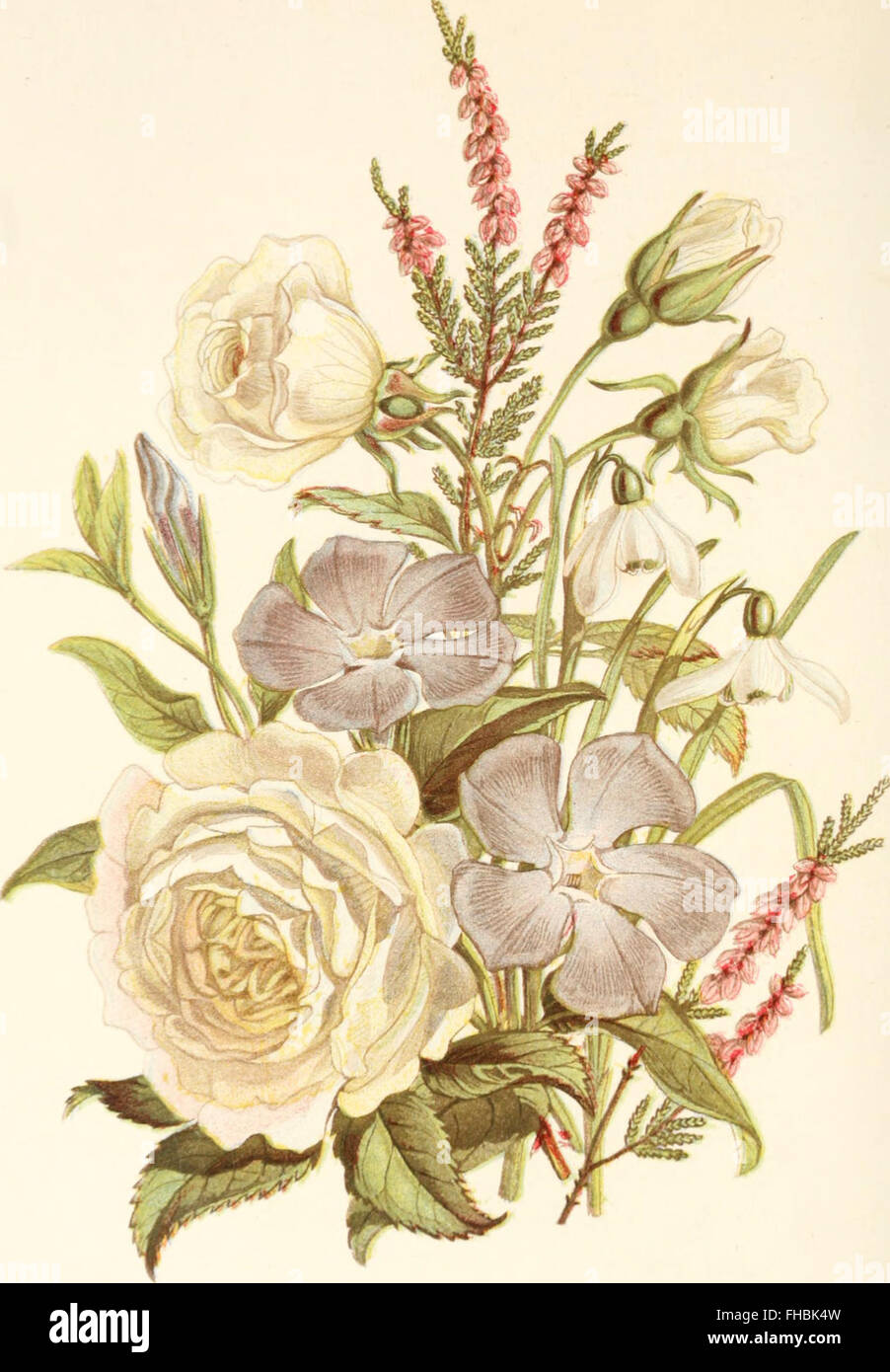 A 19th-century guide to the symbolic meanings of flowers, explaining ...