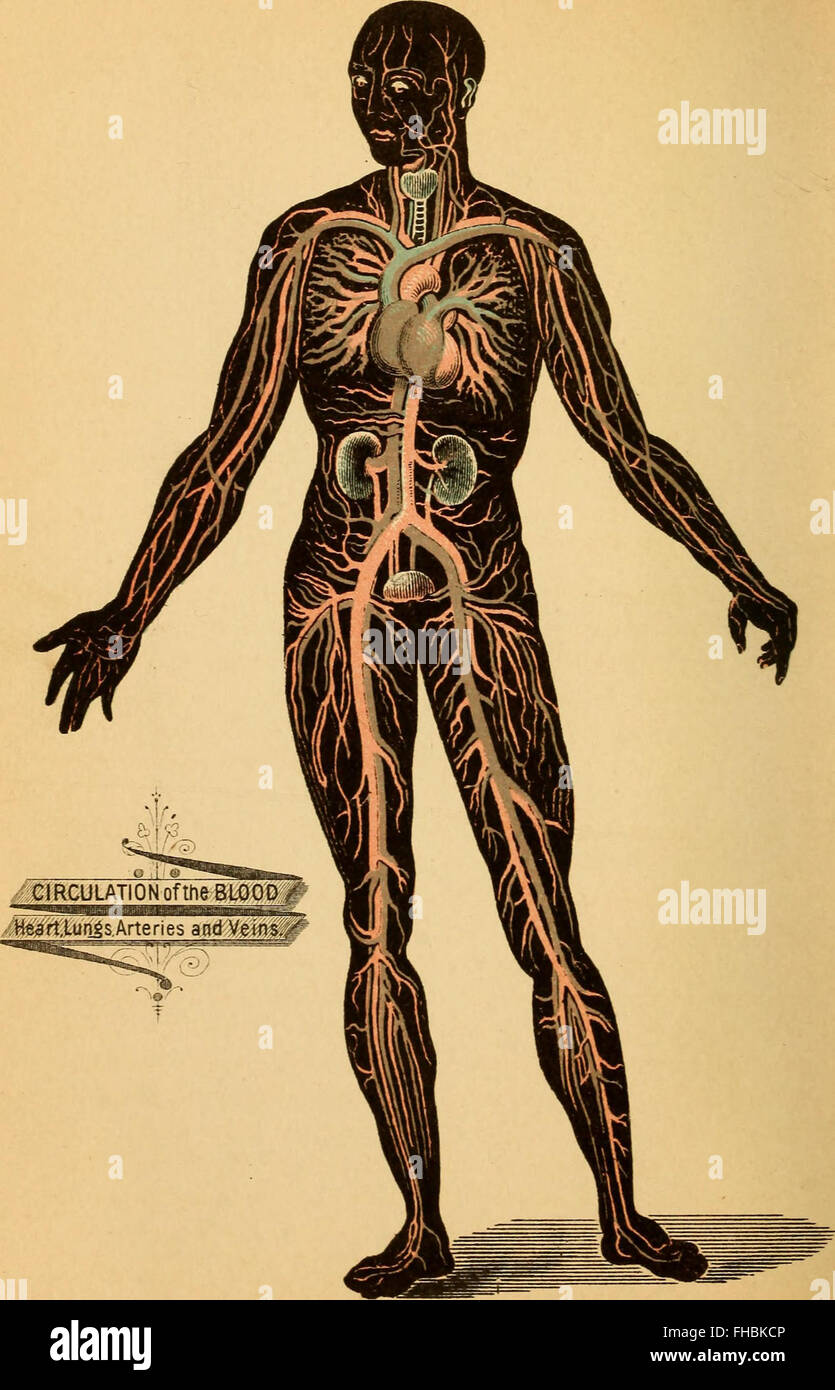 A three-act comic opera from 1880, titled 'Le dernier des Boabdil ...