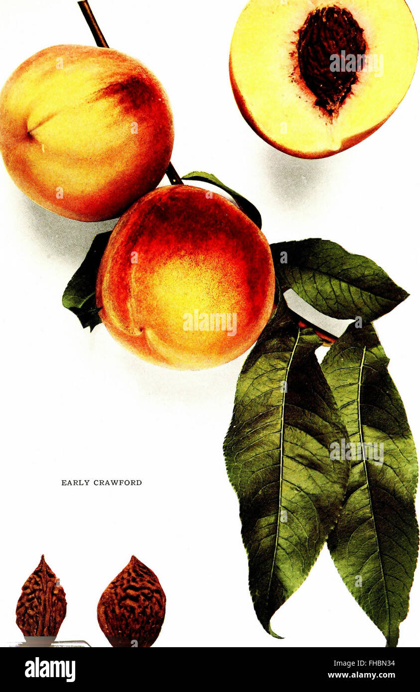 A 1917 publication that offers detailed information on the different ...