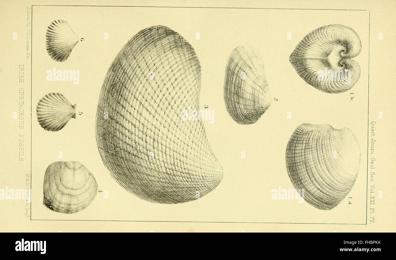 The Quarterly Journal of the Geological Society of London is a ...