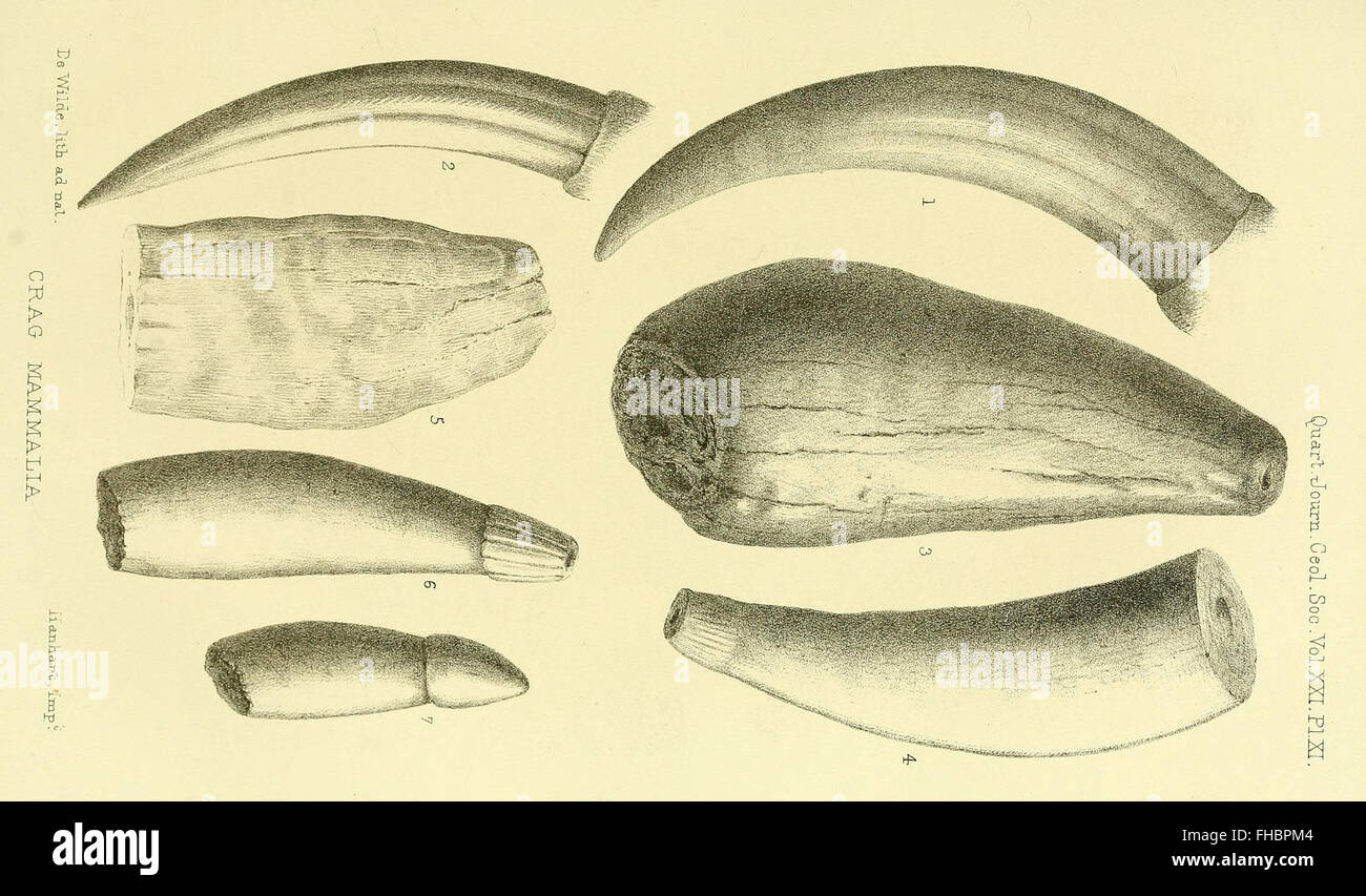 The Quarterly Journal of the Geological Society of London, a periodical ...