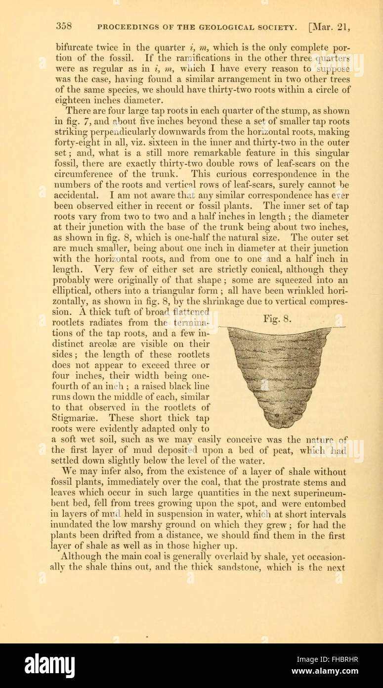 A prominent geological journal publishing research articles and studies ...