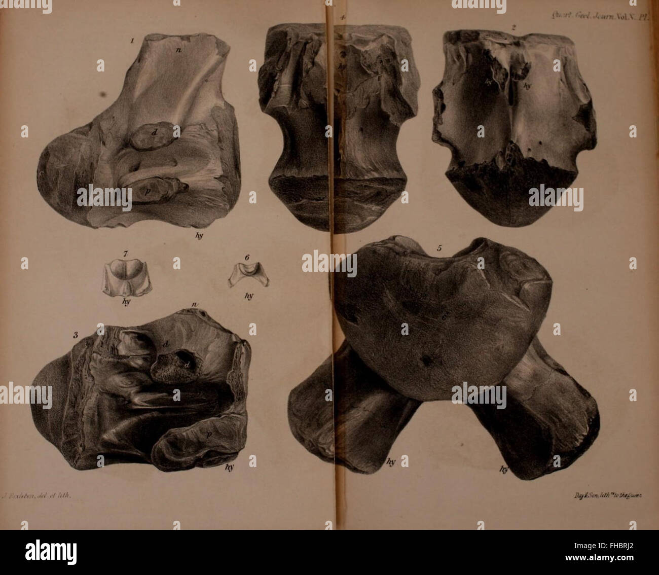 Periodicals Smithsonian Libraries geology Stock Photo - Alamy