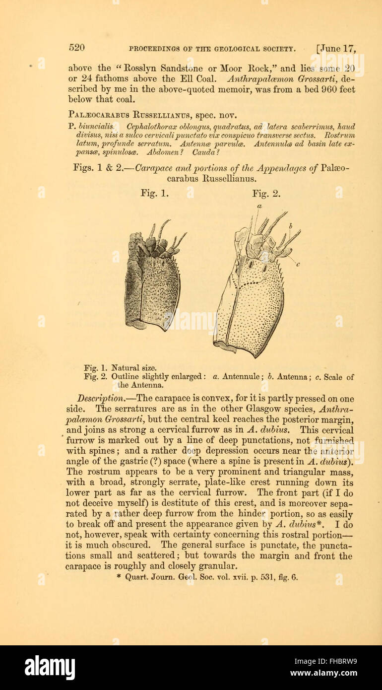 A periodical that publishes research and findings on a wide range of ...