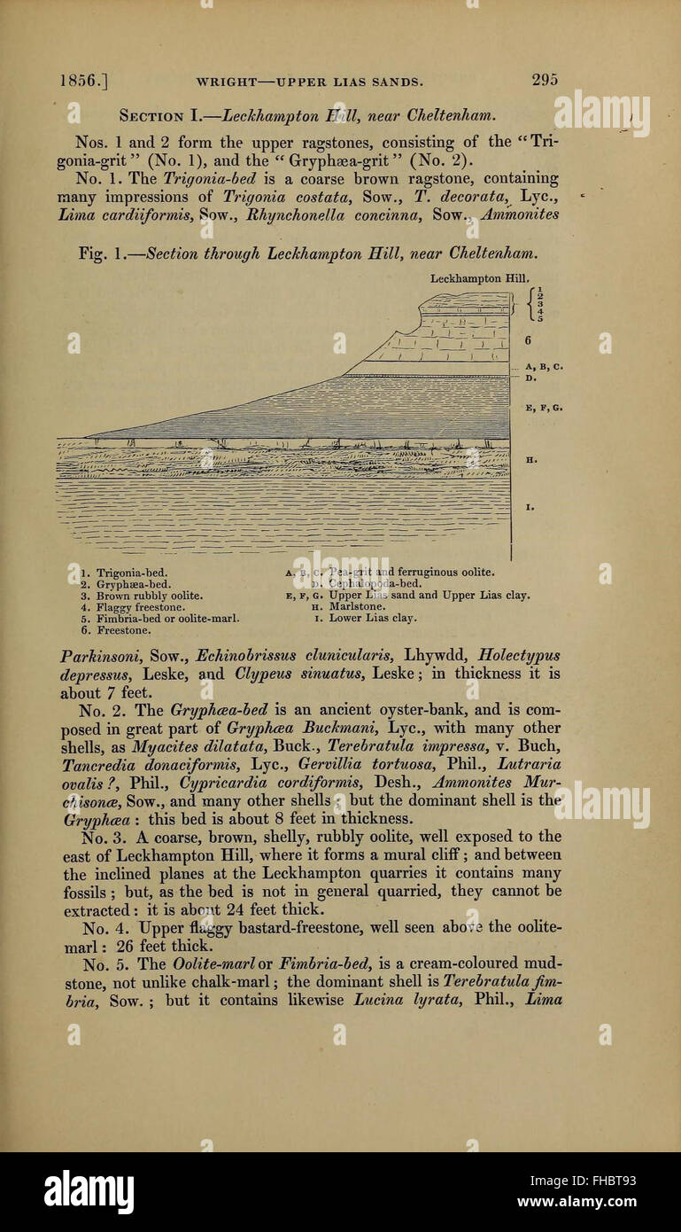Another issue of The Quarterly Journal of the Geological Society of ...