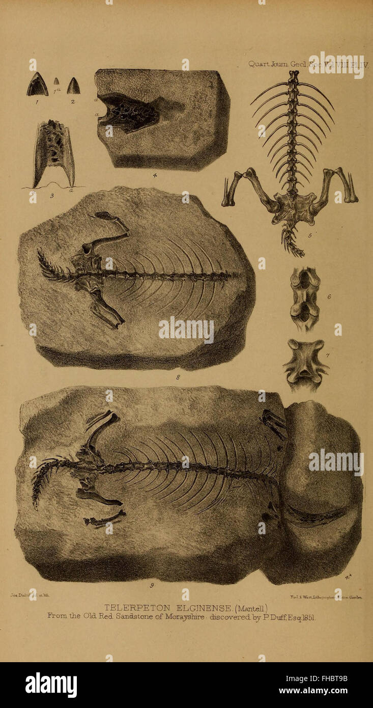 A geological journal published quarterly, documenting research, studies ...