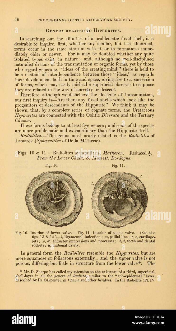 'The Quarterly Journal of the Geological Society of London' offers ...