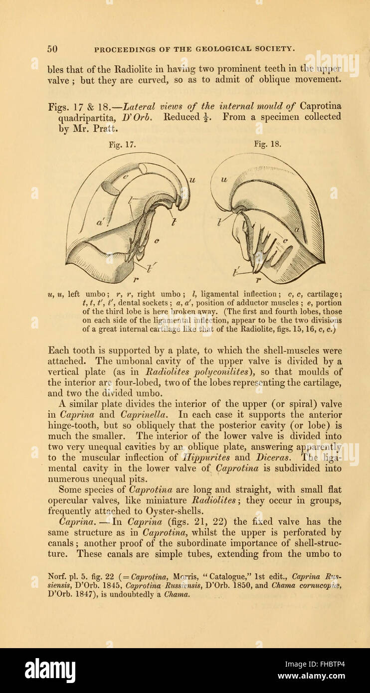 A periodical journal from the Geological Society of London, focusing on ...