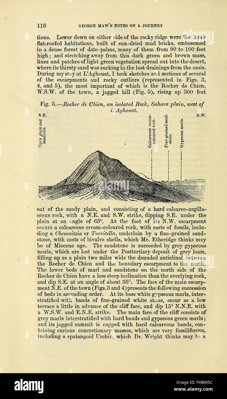 Geology journal, Geological Society of London, geology research, earth ...