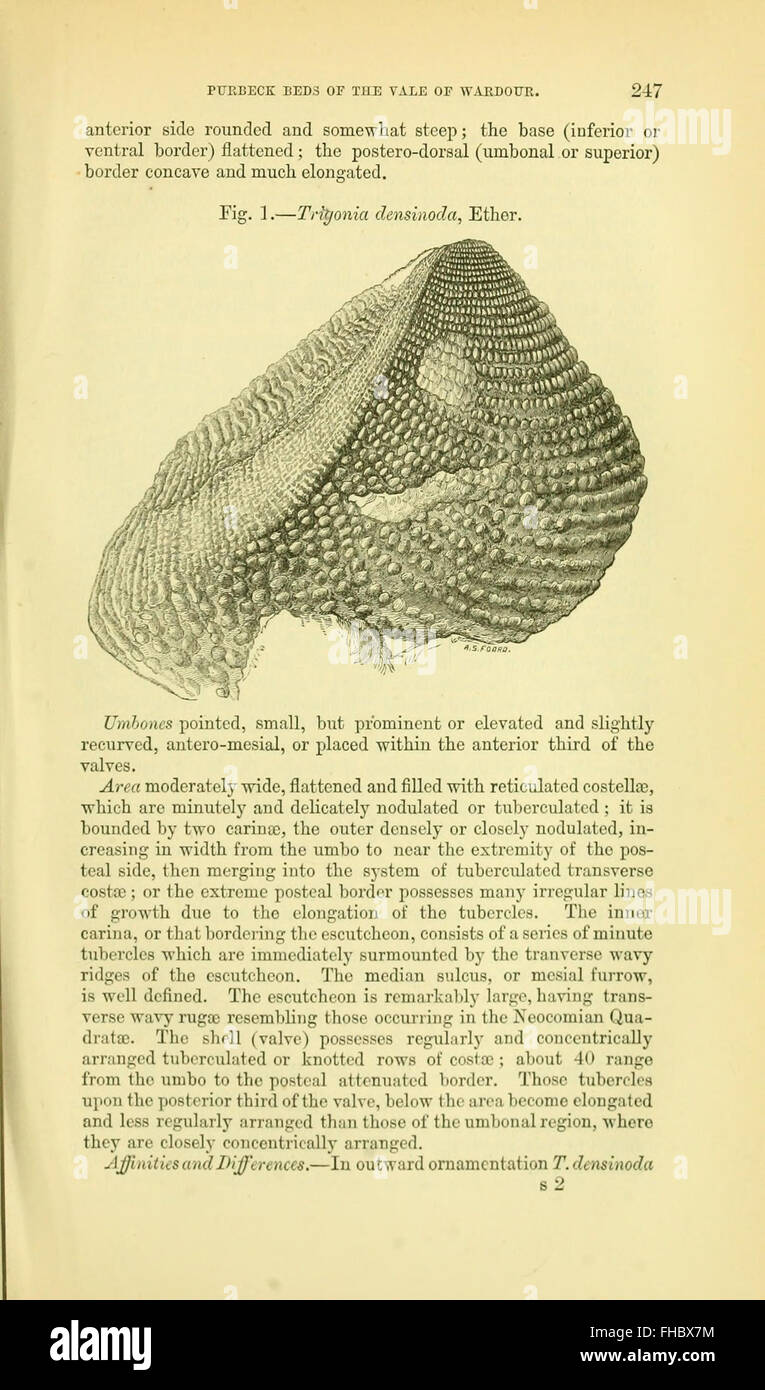 A leading geological journal offering cutting-edge research on ...
