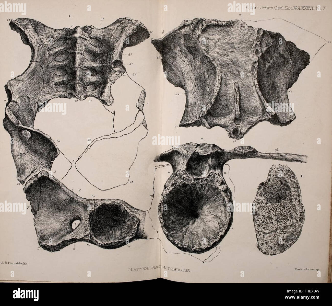 A leading geological journal publishing research articles on Earth ...