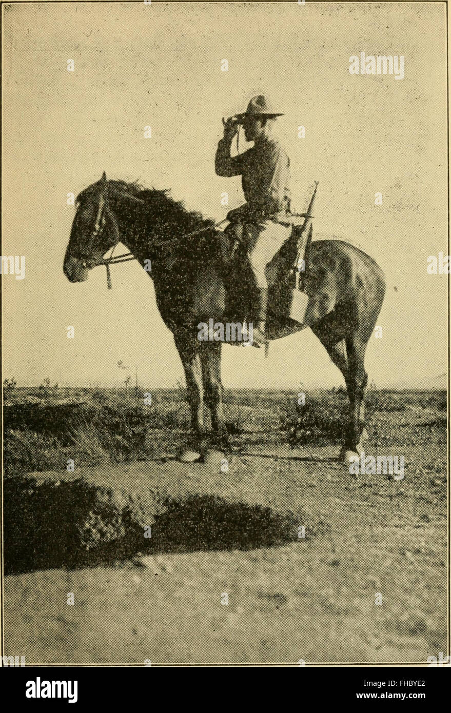 A world in perplexity (1918 Stock Photo - Alamy